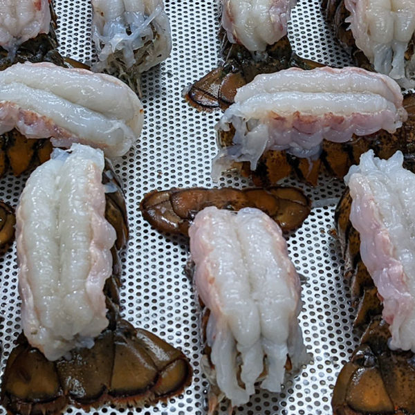 Staging Lobster Tails for Catering | Winston Foodservice