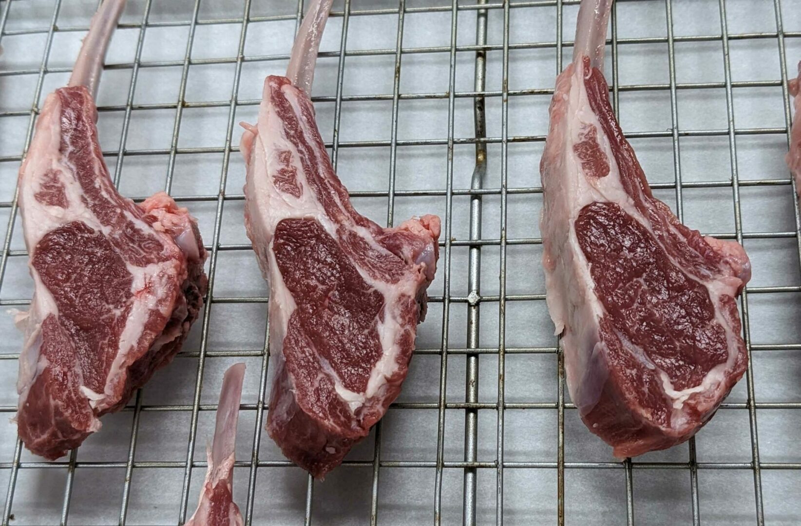 New Zealand Rib Lamb Chops in CVap Oven | Winston Foodservice